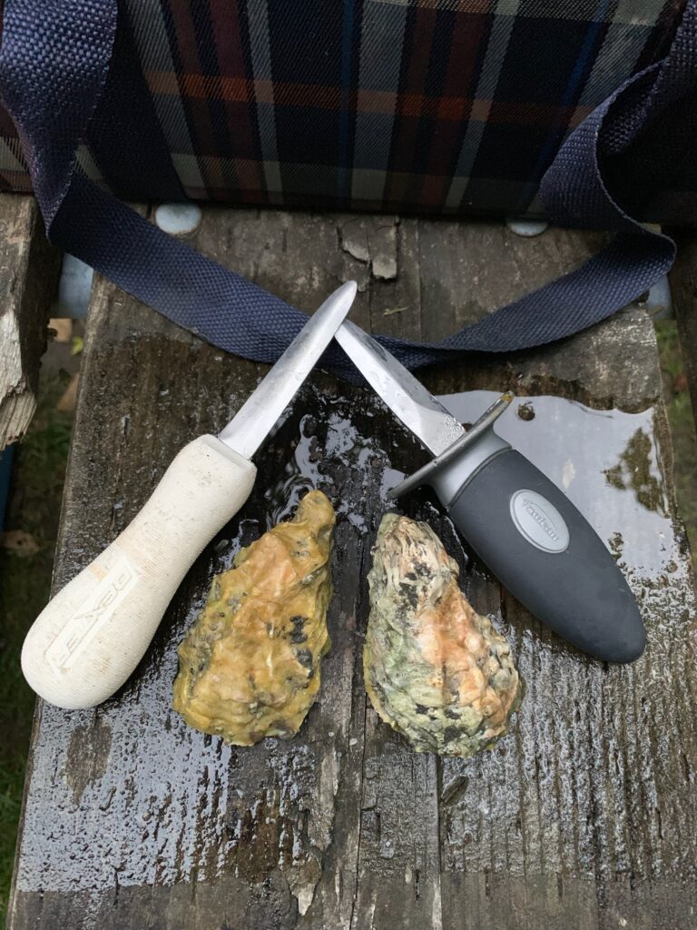Dosewallips State Park - Towmads
