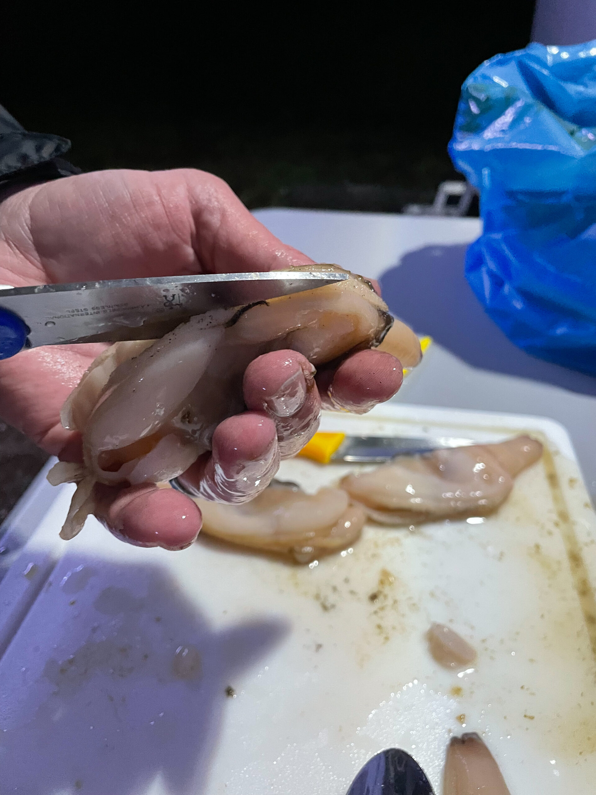 Delicious Pacific Razor Clam Chowder Recipe (Lactose Free) - Towmads